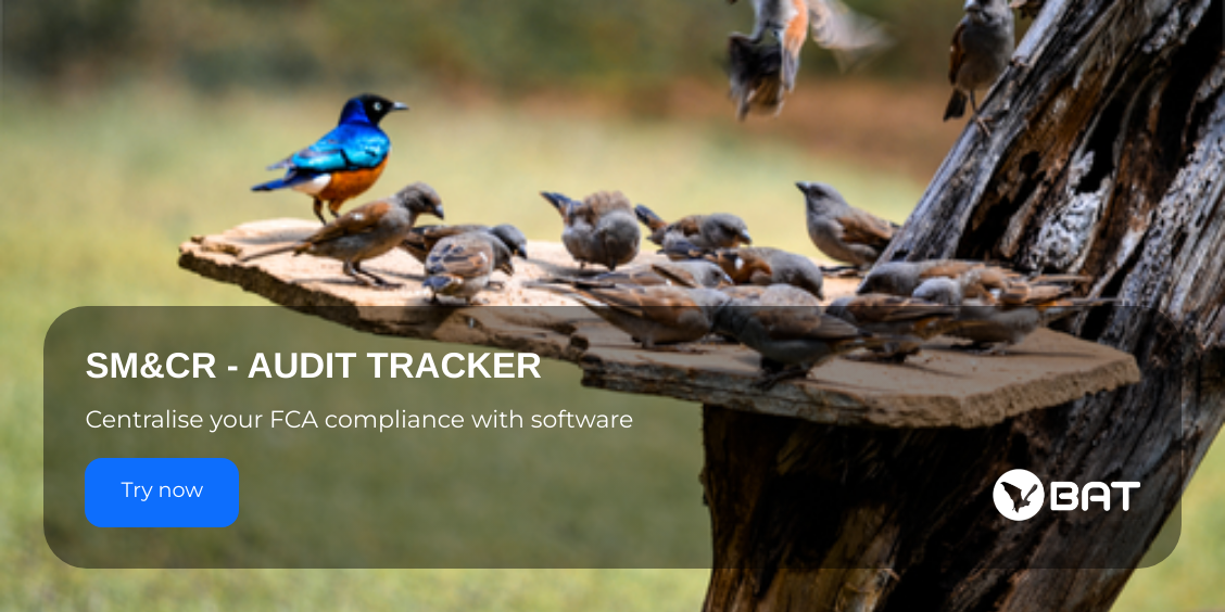AUDIT REPORT/ANALYSIS - BAT Software